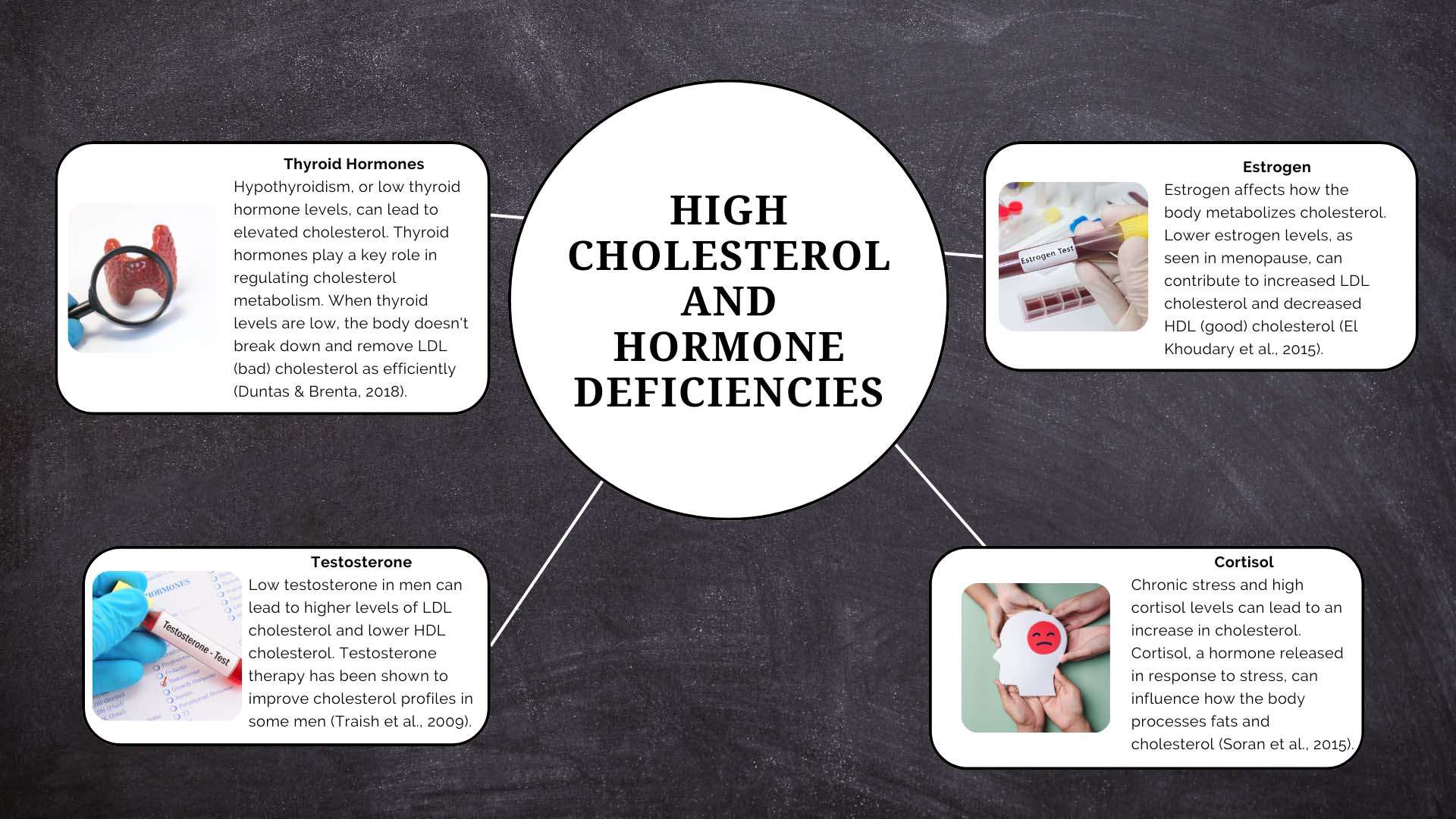 How high cholesterol can be a sign of hormone deficiencies - Rejuvenate U
